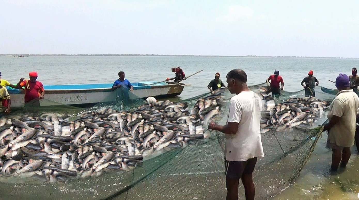 Fishing production store