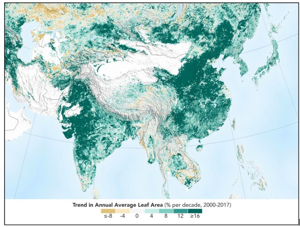 Has India’s Forest Cover increased over the years?