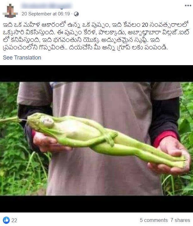 ఫోటో లో కనిపించే ‘మహిళ ఆకారంలోని పువ్వు’ ఉన్నట్లుగా ఎటువంటి ఆధారాలూ ...