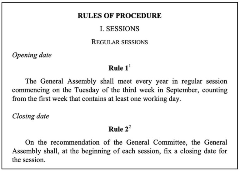 Explainer: The What & How of United Nations General Assembly (UNGA)