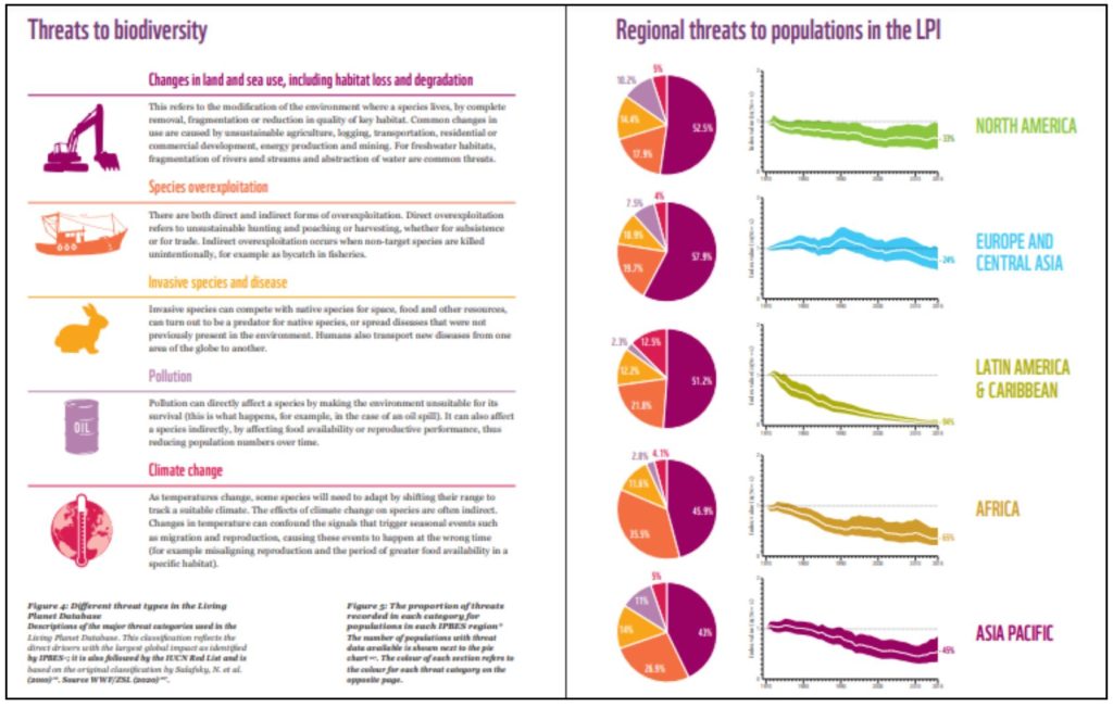 Living Planet Report 2020: Humans are overusing Earth's biocapacity by ...