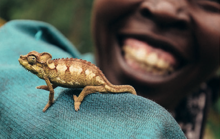 Living Planet Report 2020: Humans are overusing Earth's biocapacity by ...