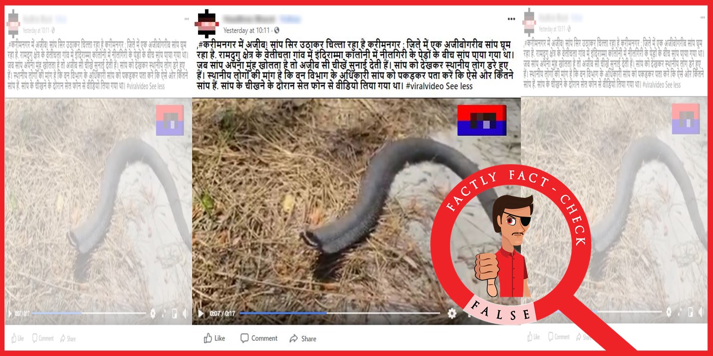 This video of snake screaming has nothing to do with Karimnagar - FACTLY