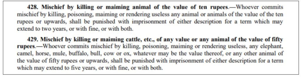 Animal cruelty and data
