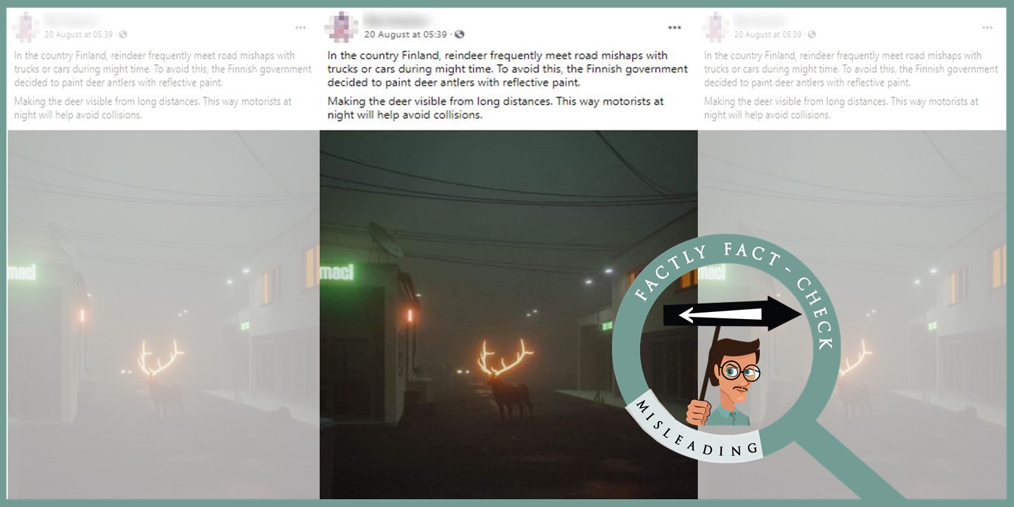 This photo of a reindeer with glowing antlers is an artwork inspired ...