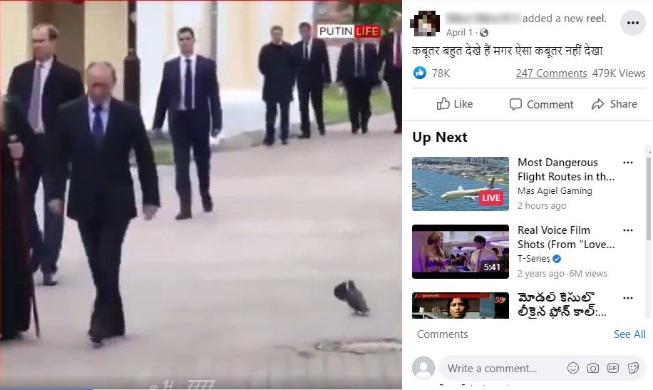 Digitally edited visuals shared as a pigeon saluting Russian President ...
