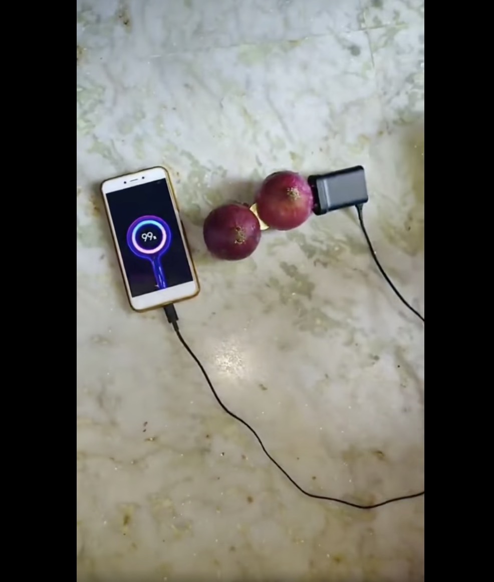 One cannot charge a mobile phone using Onions in the way it's shown in ...