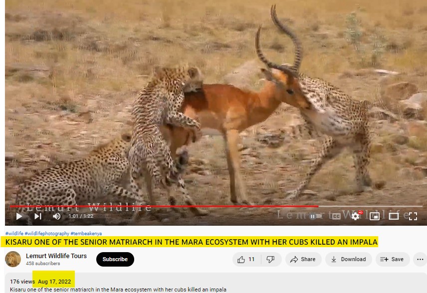Old & Unrelated videos are being shared linking them to the Cheetahs ...