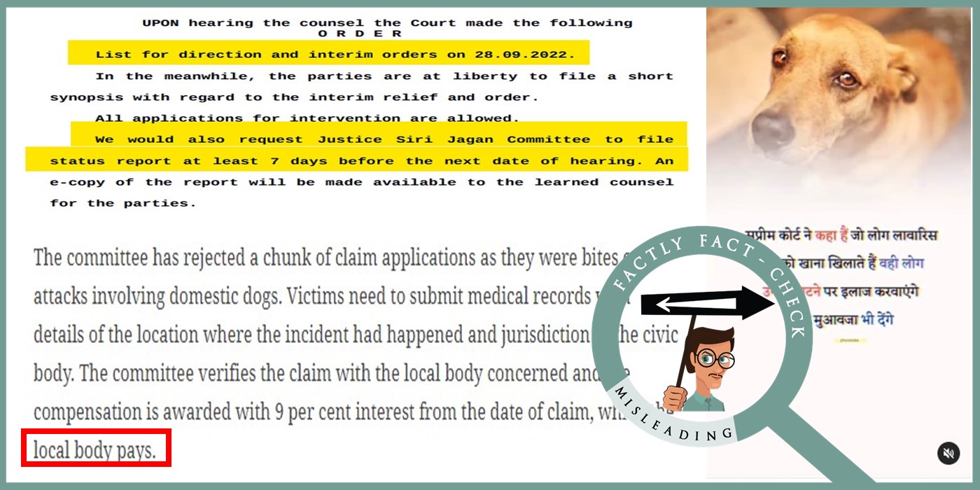 How Do I Report A Dog Bite