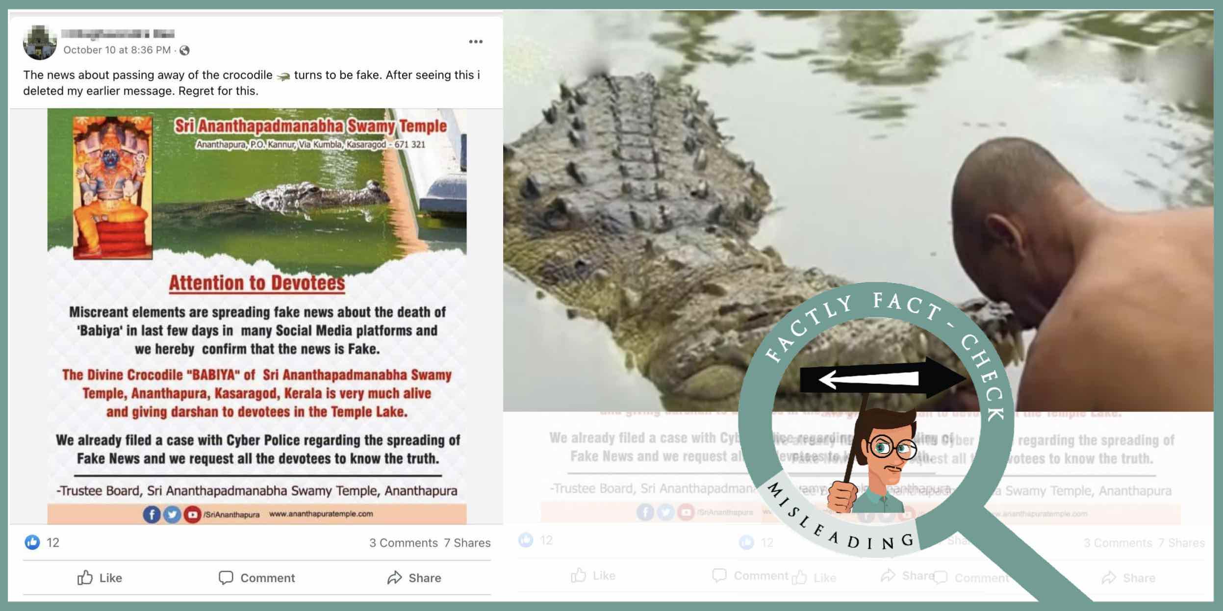 Crocodile Babiya did die recently; This clarification message from Ananathapura lake temple is ...