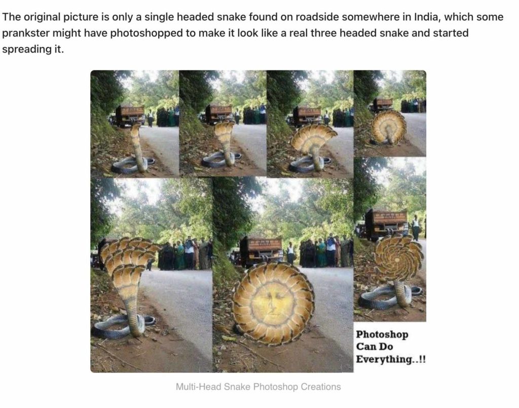 Ten Headed Snake The Top 10 Strangest Snakes In The World Owlcation