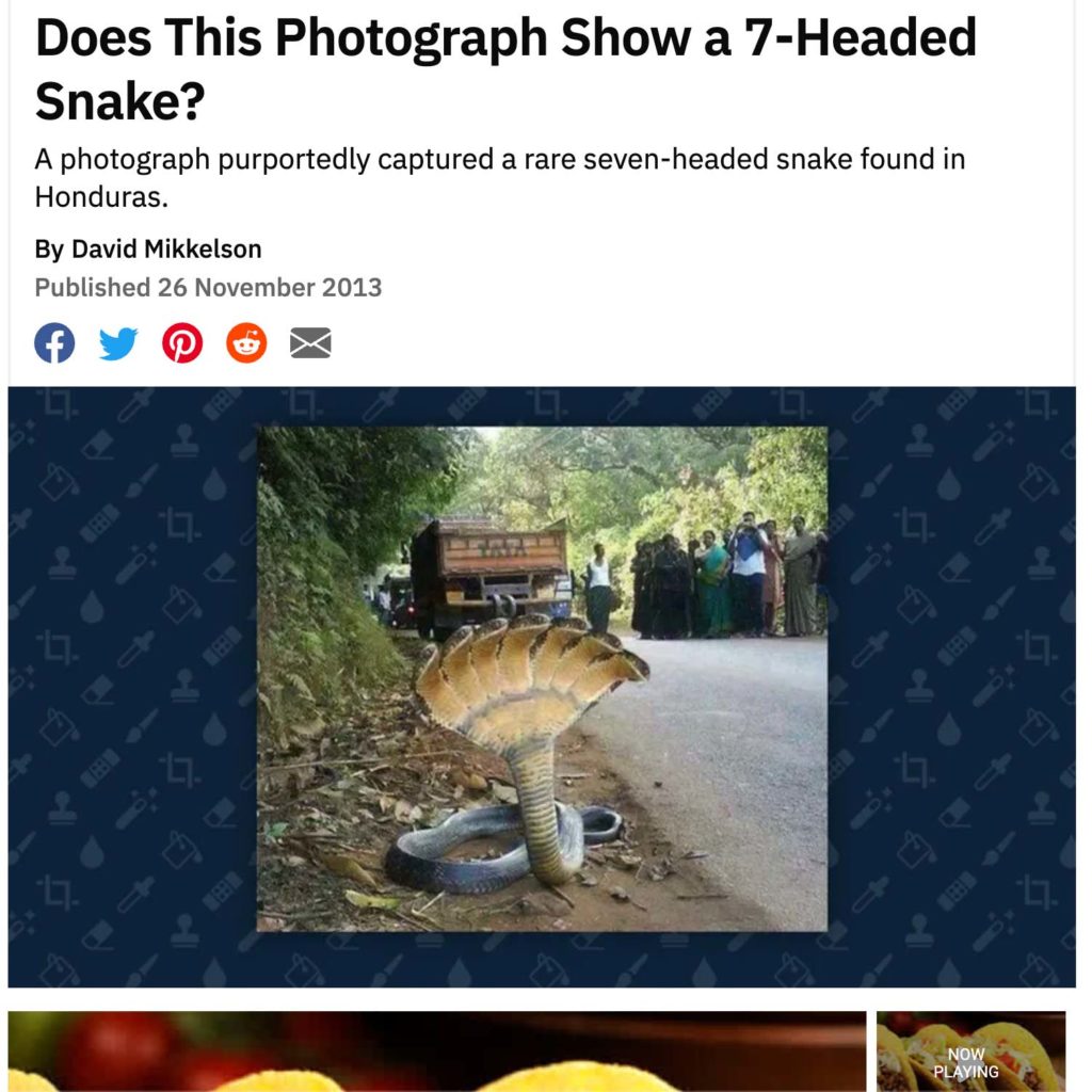 A digitally edited picture is shared as a real image of a three-headed ...