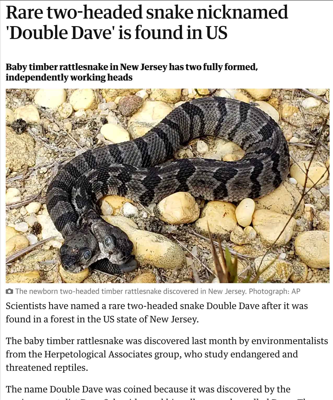 A digitally edited picture is shared as a real image of a three-headed ...