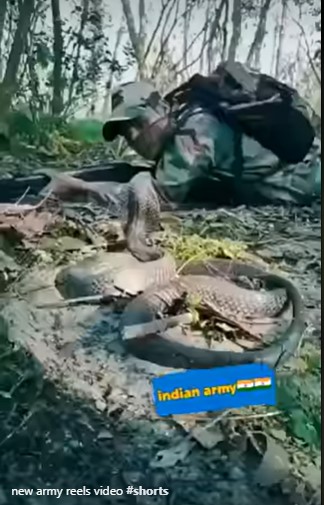 Videos related to Airsoft game and foreign military training shared as ...