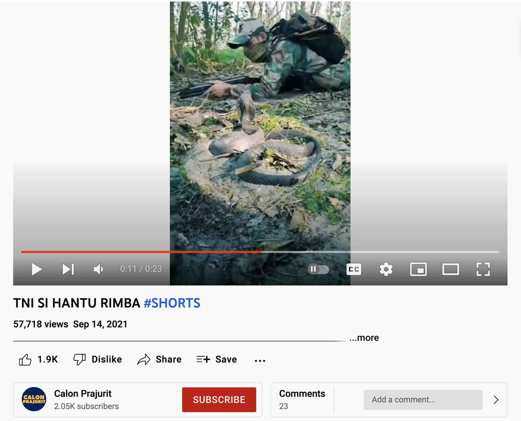 Videos related to Airsoft game and foreign military training shared as ...