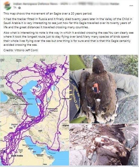 A map showing the movement of 20 eagles over one year period shared as ...