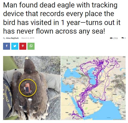 A map showing the movement of 20 eagles over one year period shared as ...