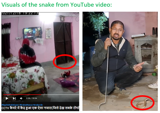 The clickbait thumbnail of a huge snake inside a house is morphed - FACTLY
