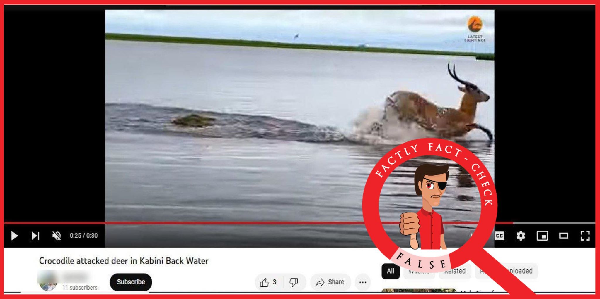 Visuals of crocodile chasing a buck in Botswana shared as that filmed ...