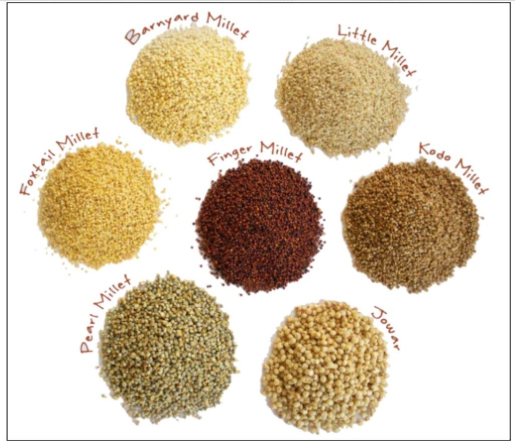 Review: In The ‘International Year of Millets’, Here is Everything You ...