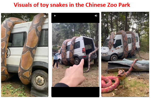 ಫ್ಯಾಕ್ಟ್‌ಚೆಕ್: ವ್ಯಾನ್‌ಅನ್ನು ಸುತ್ತುವರೆದ ಬೃಹತ್ ಗಾತ್ರದ ಹಾವು ಎಂಬ ವೈರಲ್ ...