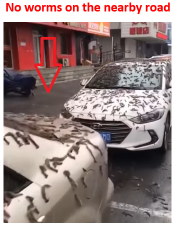 Viral Video Claiming Rain of Worms in China on Indian Social Media ...