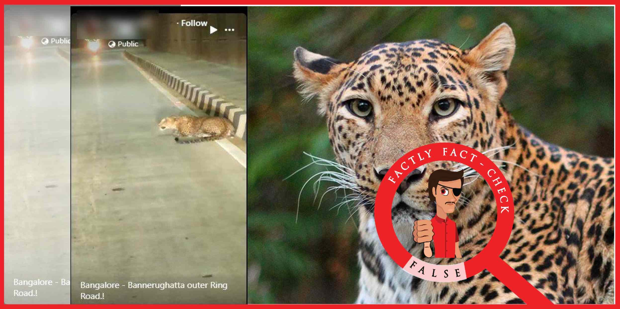 This video of a leopard sighting on a highway was filmed near Binkadakatti, 420 km away from ...