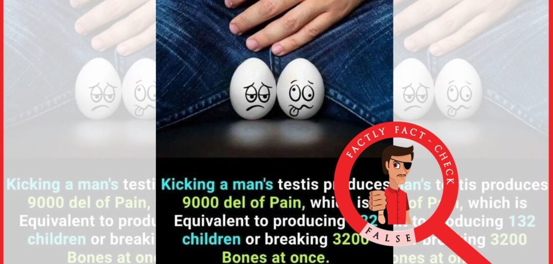 There is no scientific study to prove testicular blow is more painful ...