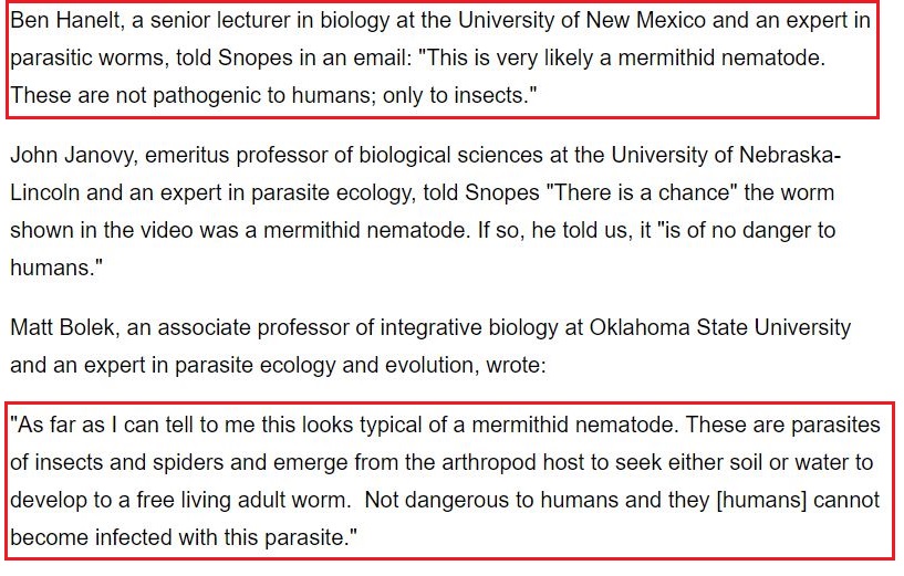 The worm spotted inside the green bell pepper in the video is not ...