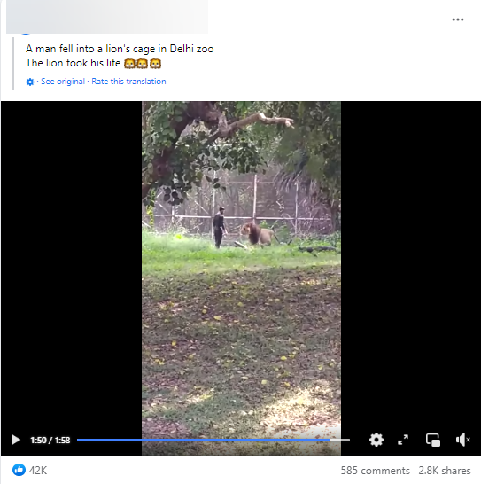 Visuals Show a 4-Year-Old Incident from Delhi Zoo: The Man Was Rescued ...