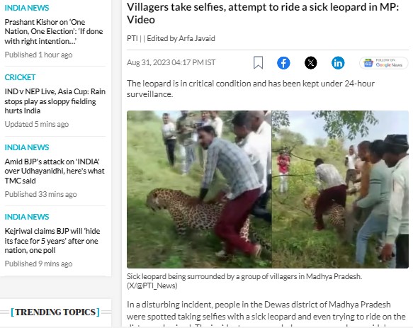 The leopard's unusual behavior resulting from a brain disorder is ...