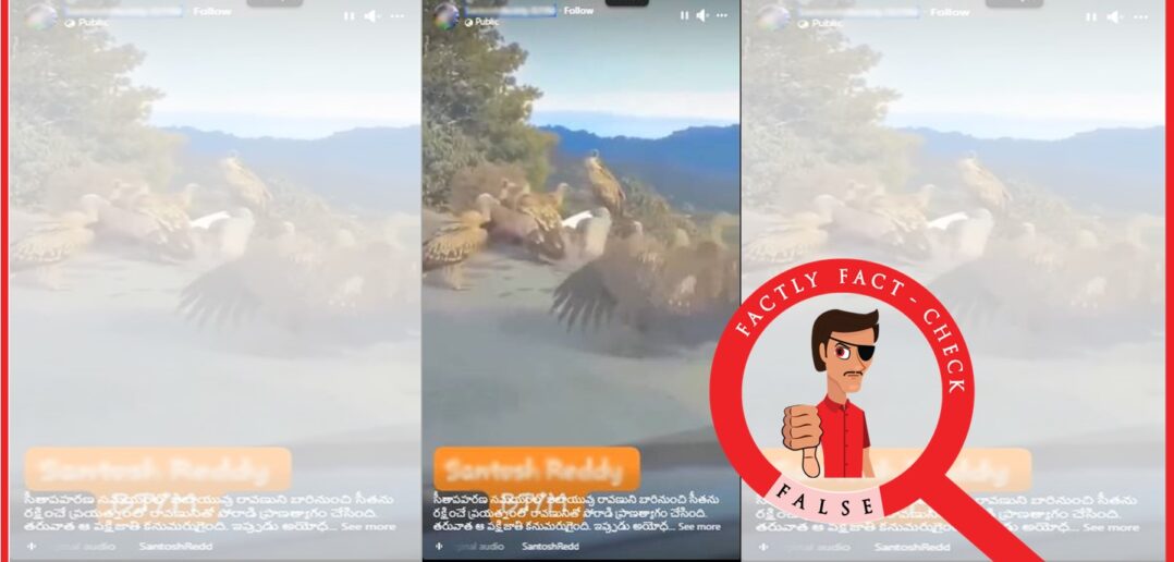 సంబంధంలేని పాత వీడియోను అయోధ్య విగ్రహ ప్రతిష్టాపన వేడుకకు 'జటాయువు' వచ్చినట్టు షేర్ చేస్తున్నారు ...