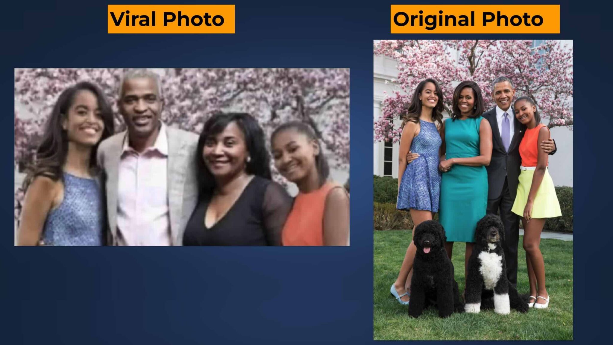 This photo, purportedly showing the original parents of Sasha and Malia ...