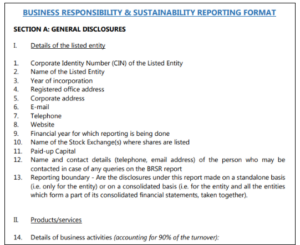 Explainer: Understanding the Business Responsibility and Sustainability ...