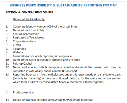 Explainer: Understanding the Business Responsibility and Sustainability ...