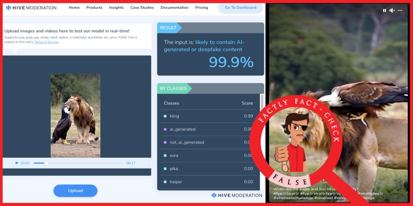 An AI-generated video of an Eagle sitting on a Lion is being falsely shared as real - FACTLY