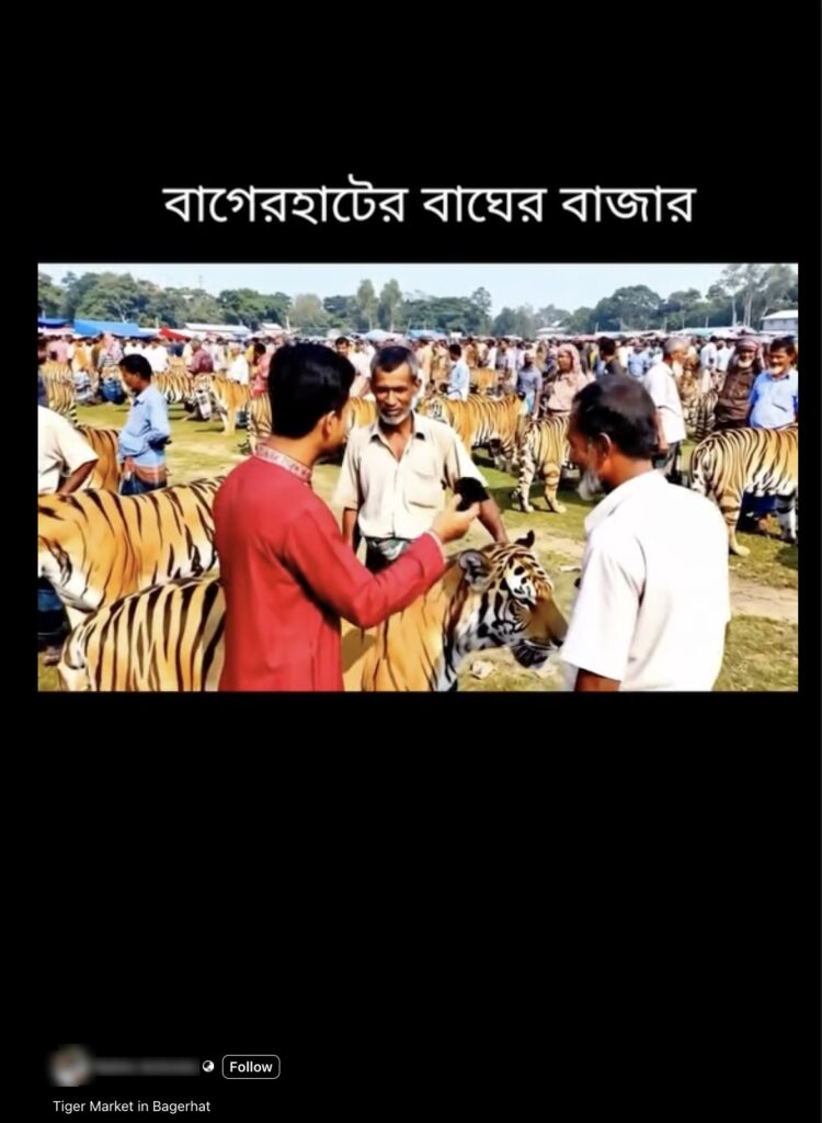 This video of an alleged tiger market in Bangladesh is a deepfake created using AI - FACTLY