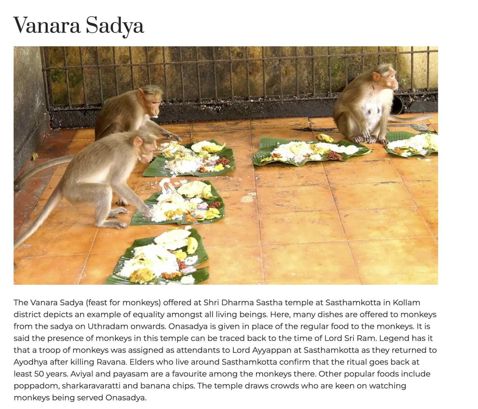 AI-generated video shared with a false claim of monkeys being fed on ...