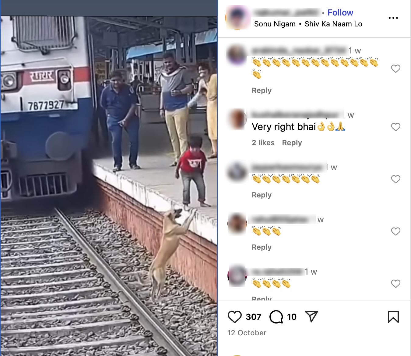 This video of a dog rescuing a child from a railway track is AI ...