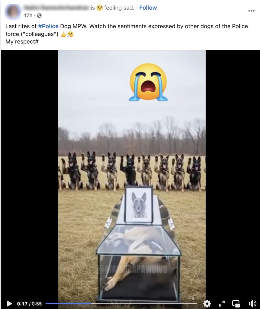 This video of police officers and police dogs bidding farewell to a ...