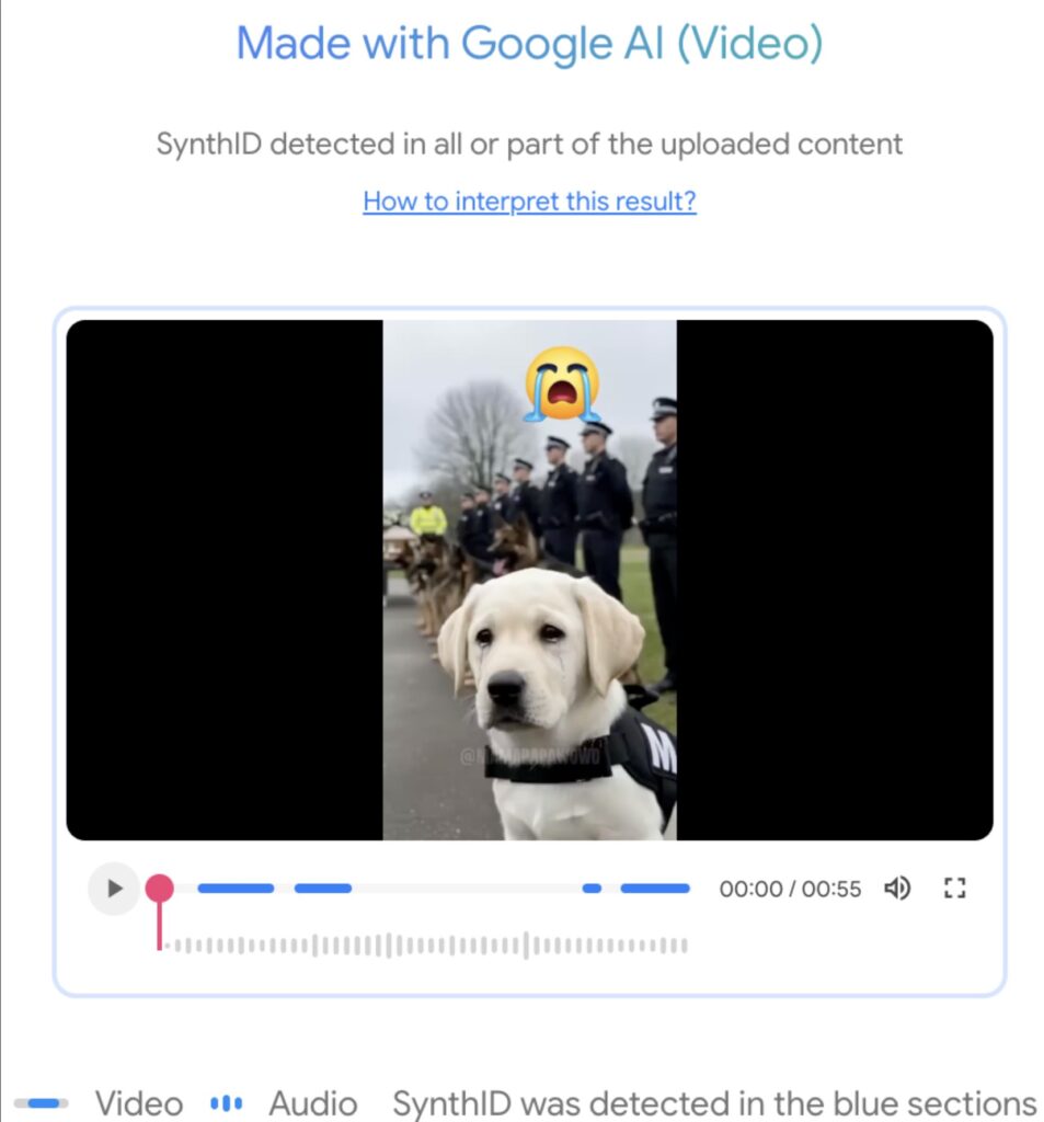 This video of police officers and police dogs bidding farewell to a ...