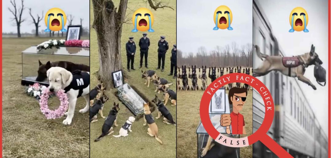 This video of police officers and police dogs bidding farewell to a ...